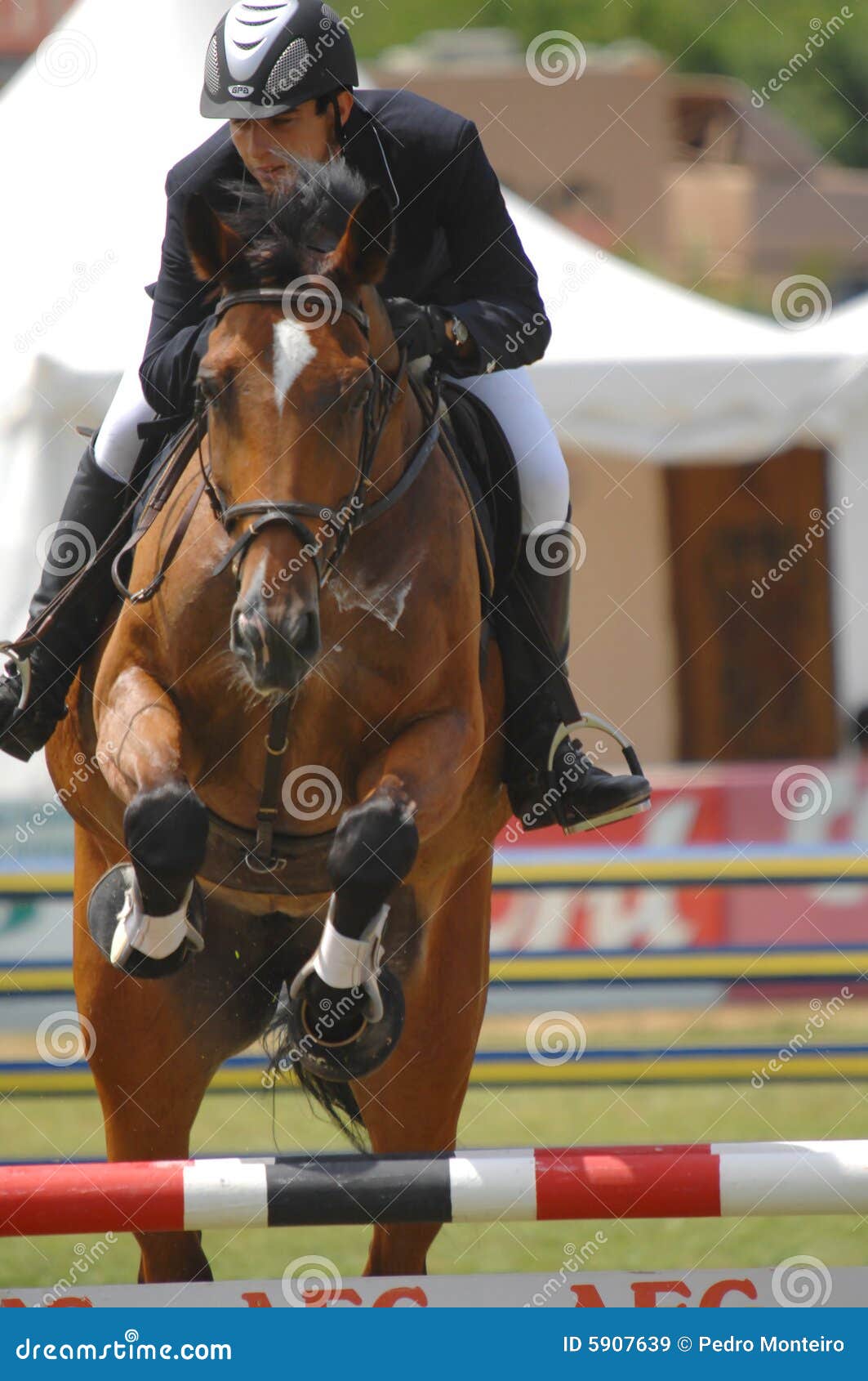 Equestrian Show Jumping editorial stock image. Image of jump - 5907639