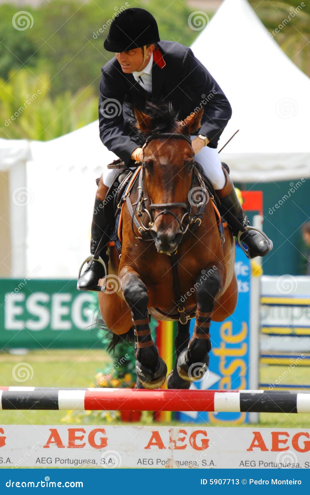 Equestrian Show Jumping editorial stock photo. Image of gentleman - 5907713