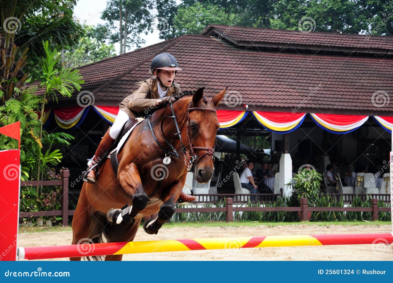 Equestrian Showjumping 3Q Classic Editorial Stock Image - Image of ...