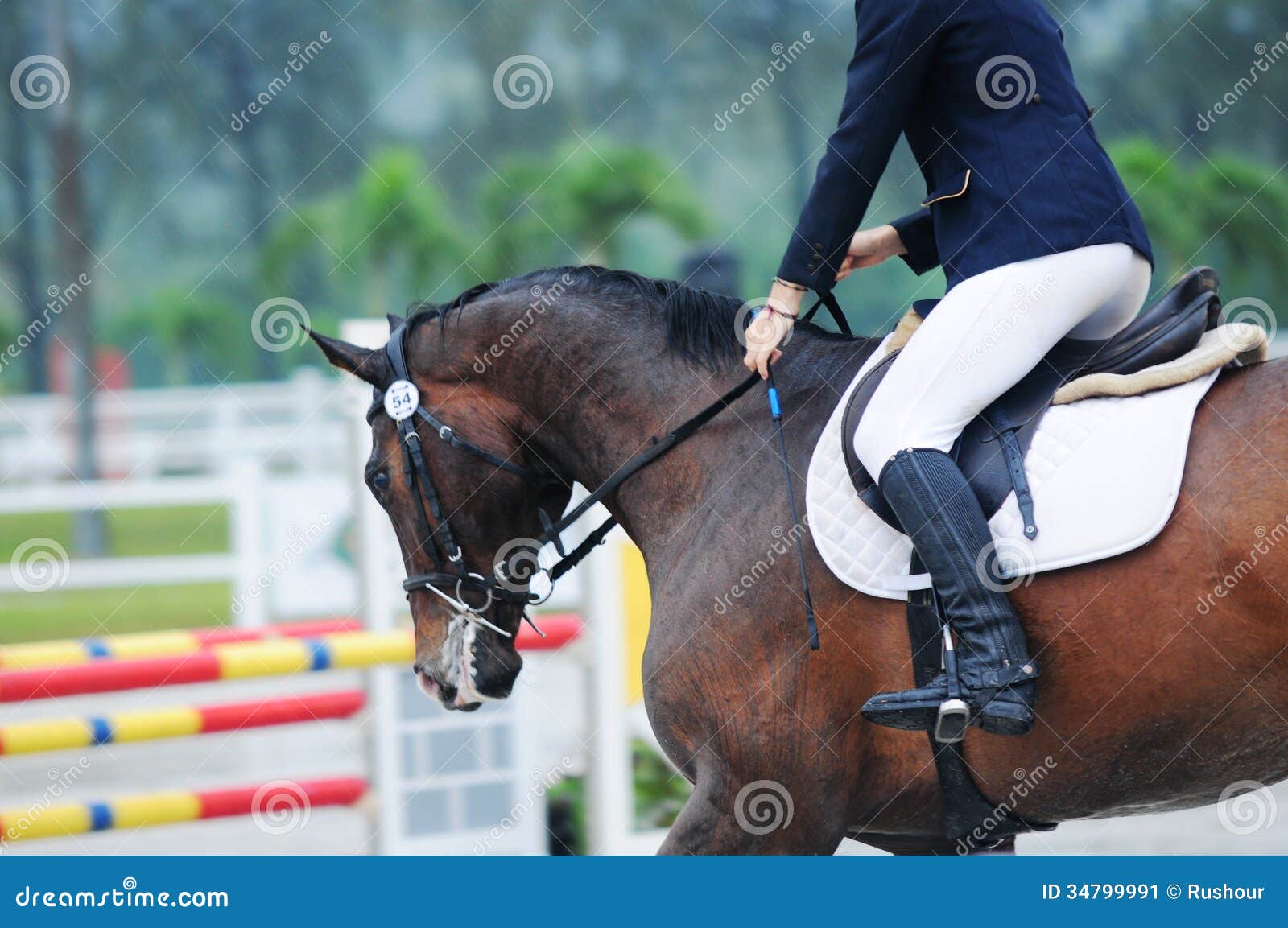 Equestrian showjumping stock image. Image of jacket, showjumping - 34799991