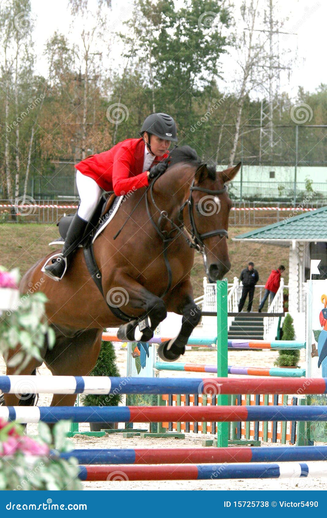 Equestrian sport editorial stock photo. Image of horse - 15725738
