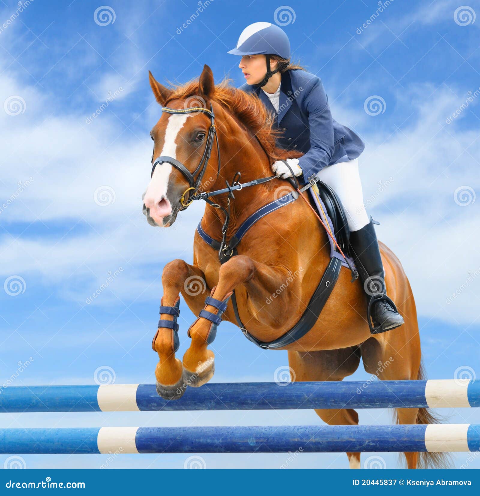 Equestrian Sport: Show Jumping Stock Image - Image of equestrian ...