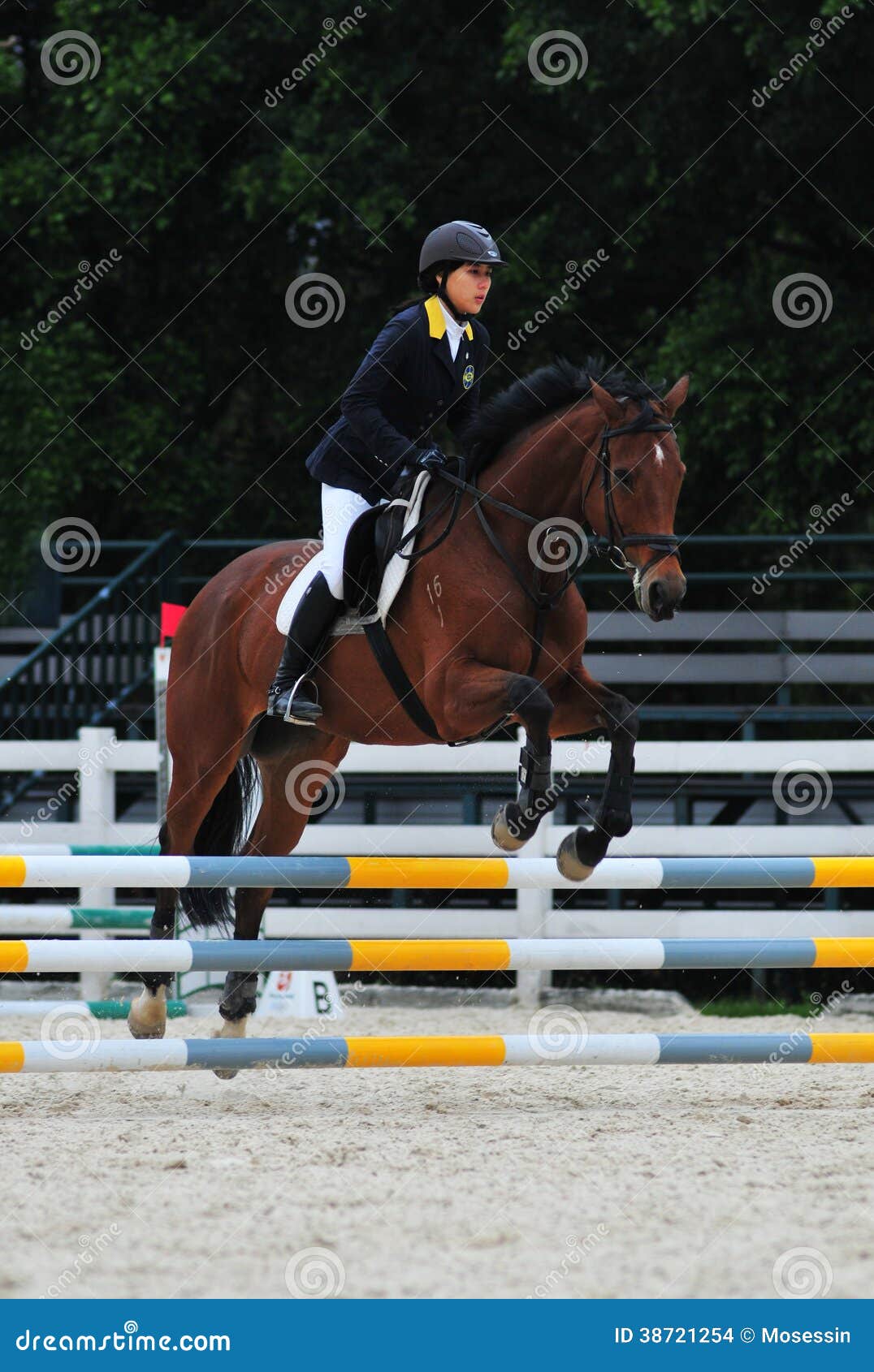 Equestrianism hurdle editorial stock image. Image of horses - 38721254