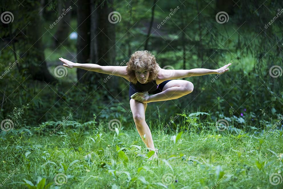 Equilibrium stock photo. Image of copy, closed, forest - 9140050