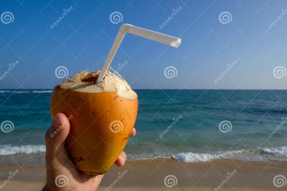 Equipe Guardar Um Coco Na Praia Imagem de Stock - Imagem de relaxe ...