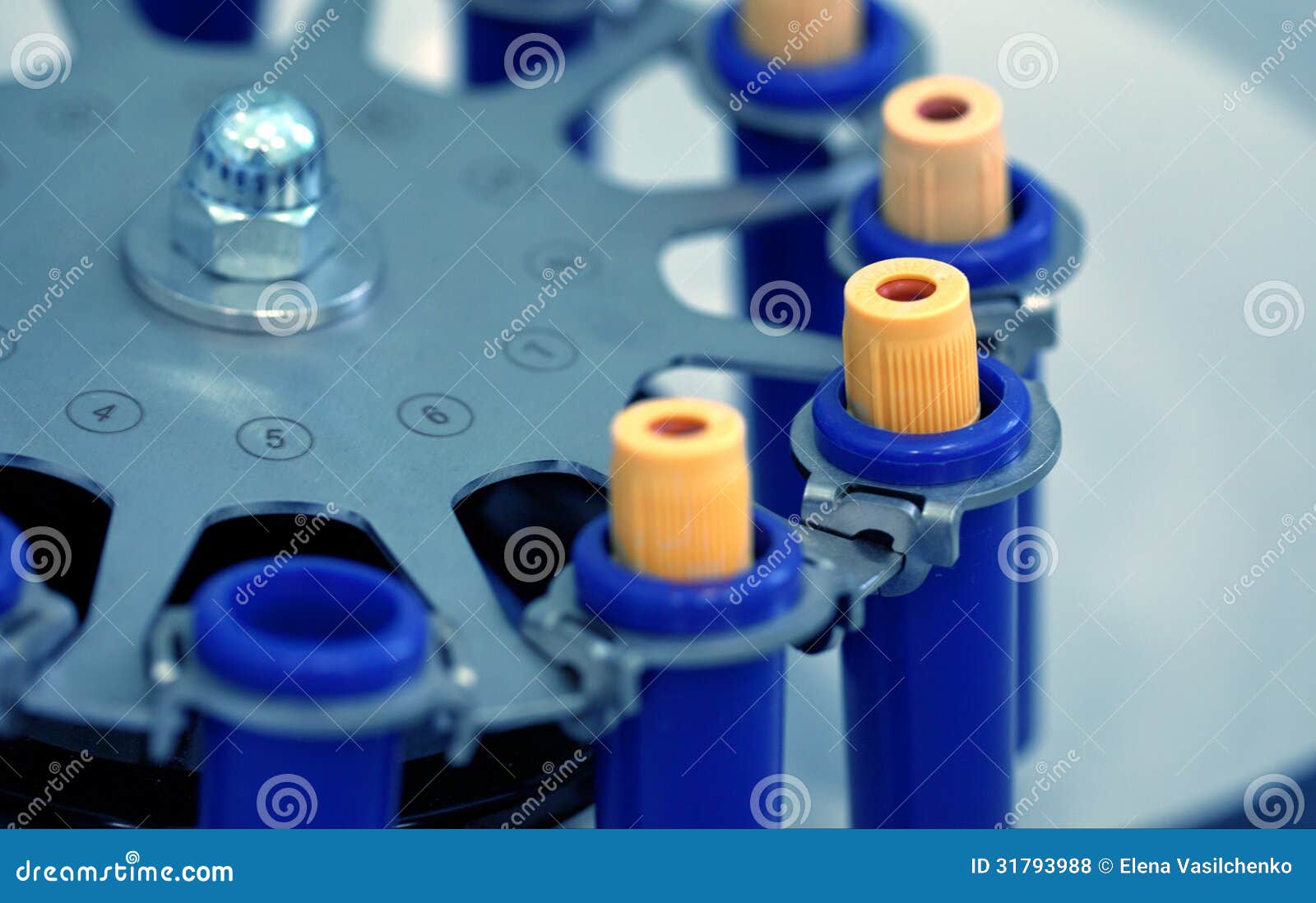 Equipment for Blood Analysis Stock Photo - Image of biology, medicine ...