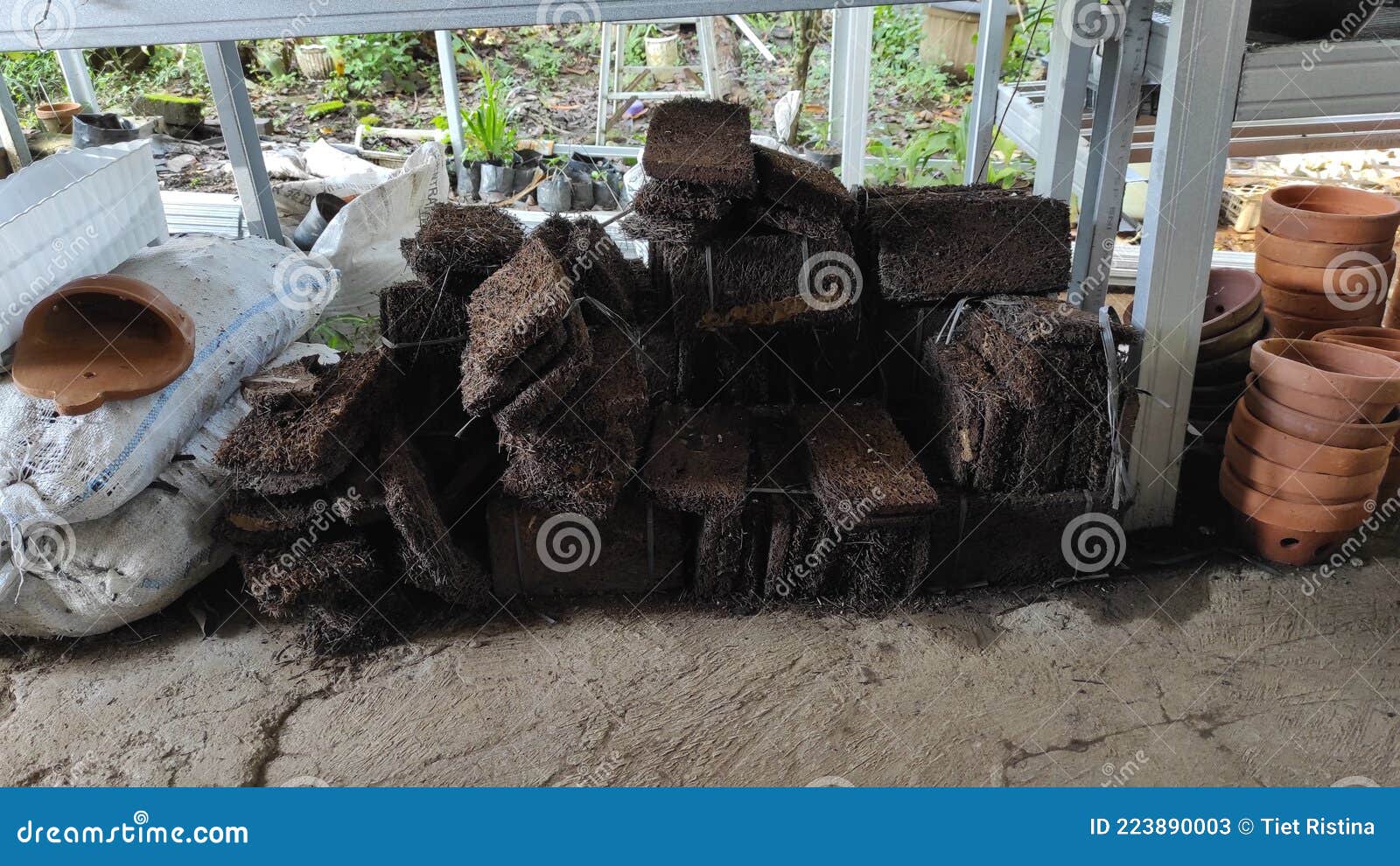 Equipment for Growing Orchids Editorial Stock Photo - Image of grave ...