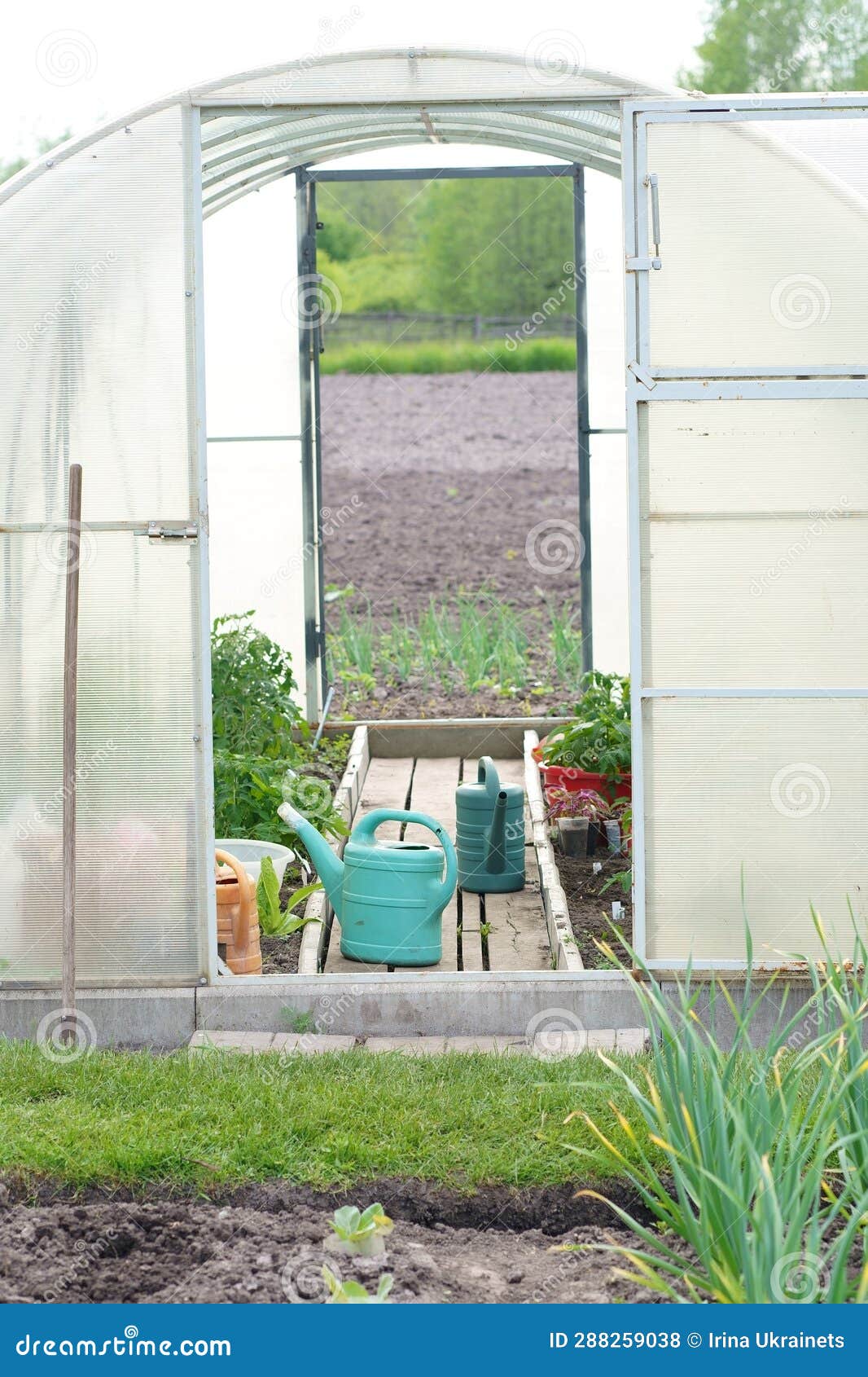 Equipment for Growing Vegetables in a Greenhouse. Tools for Working in ...