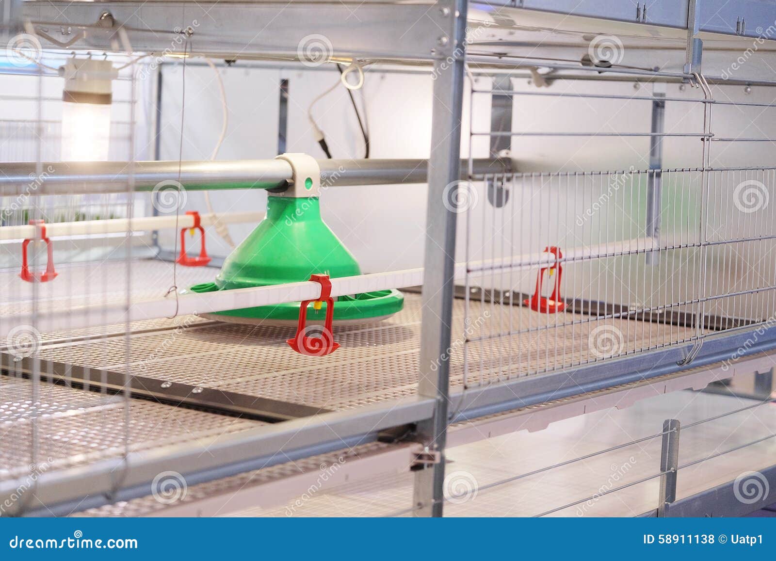 Equipment at the Poultry Farm Stock Photo - Image of poultry ...