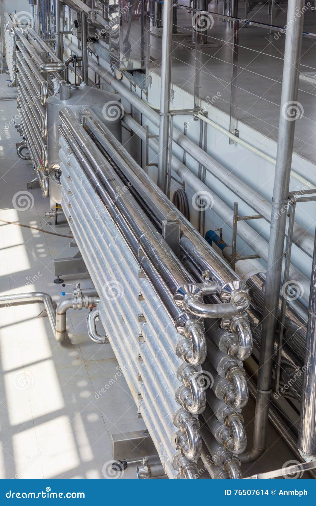 Equipment in Workshop of Primary Grapes Processing in Modern Win Stock ...