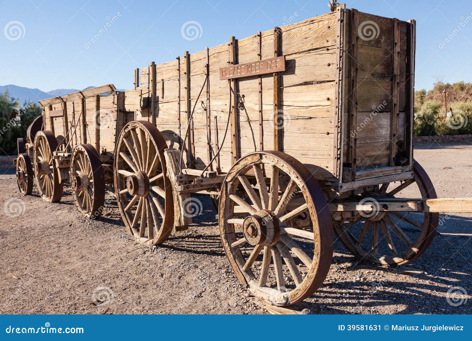 Equipo de la Veinte-mula imagen de archivo. Imagen de mineral - 39581631