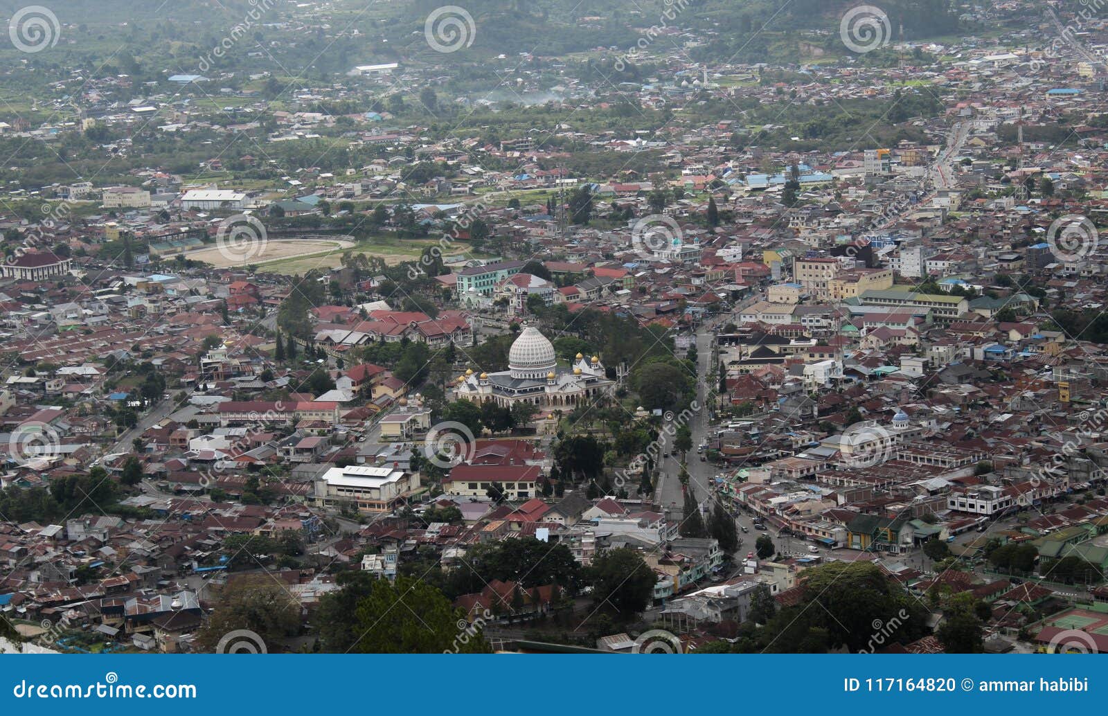 Equipo de Motret | gato foto de archivo. Imagen de gato - 117164820
