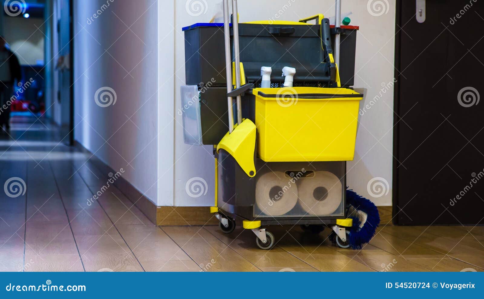 Equipo Profesional De La Limpieza En Pasillo Foto de archivo - Imagen ...