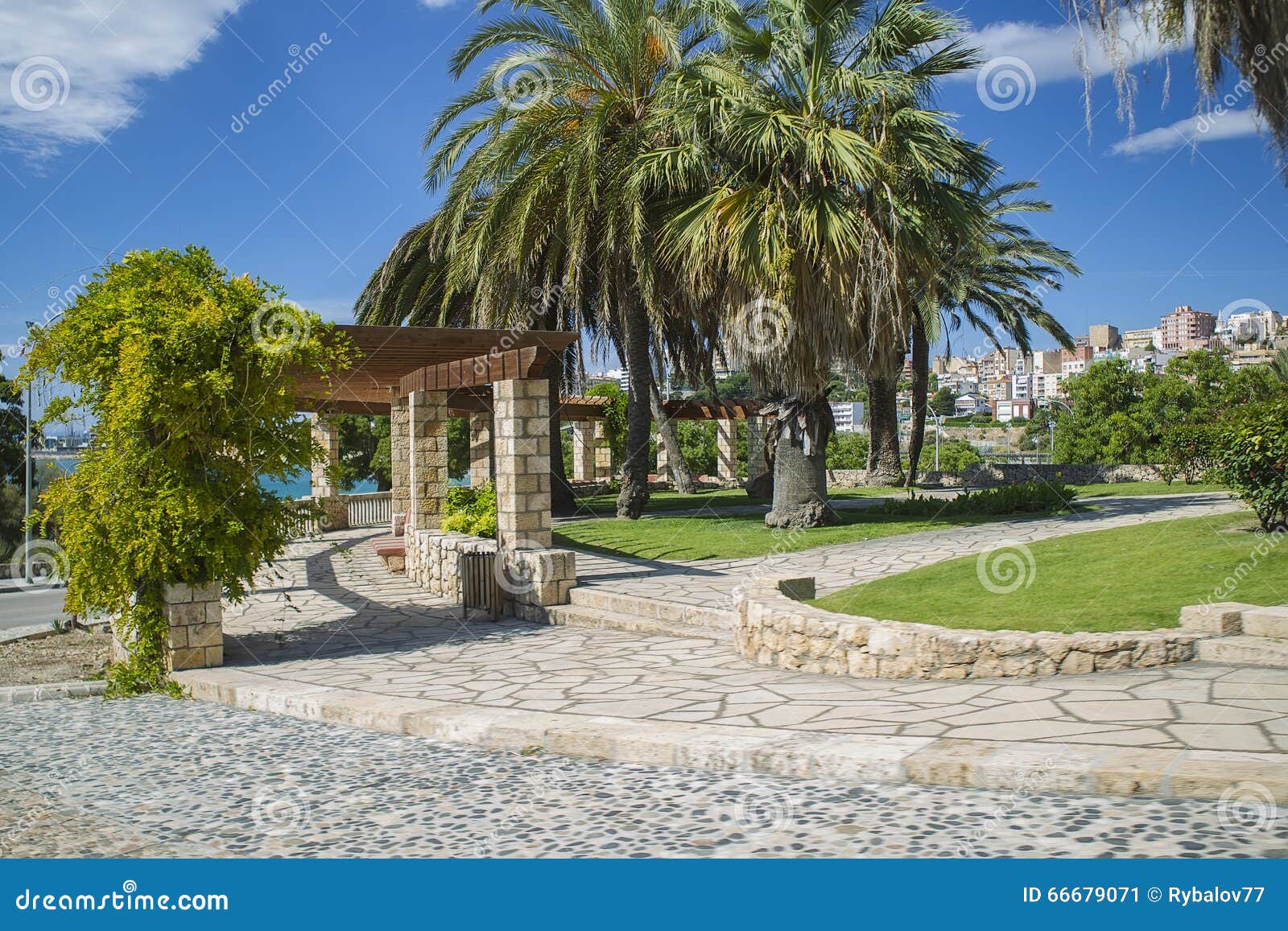 Equipped Bus Stop.Palm Trees. Stock Image - Image of road, information ...