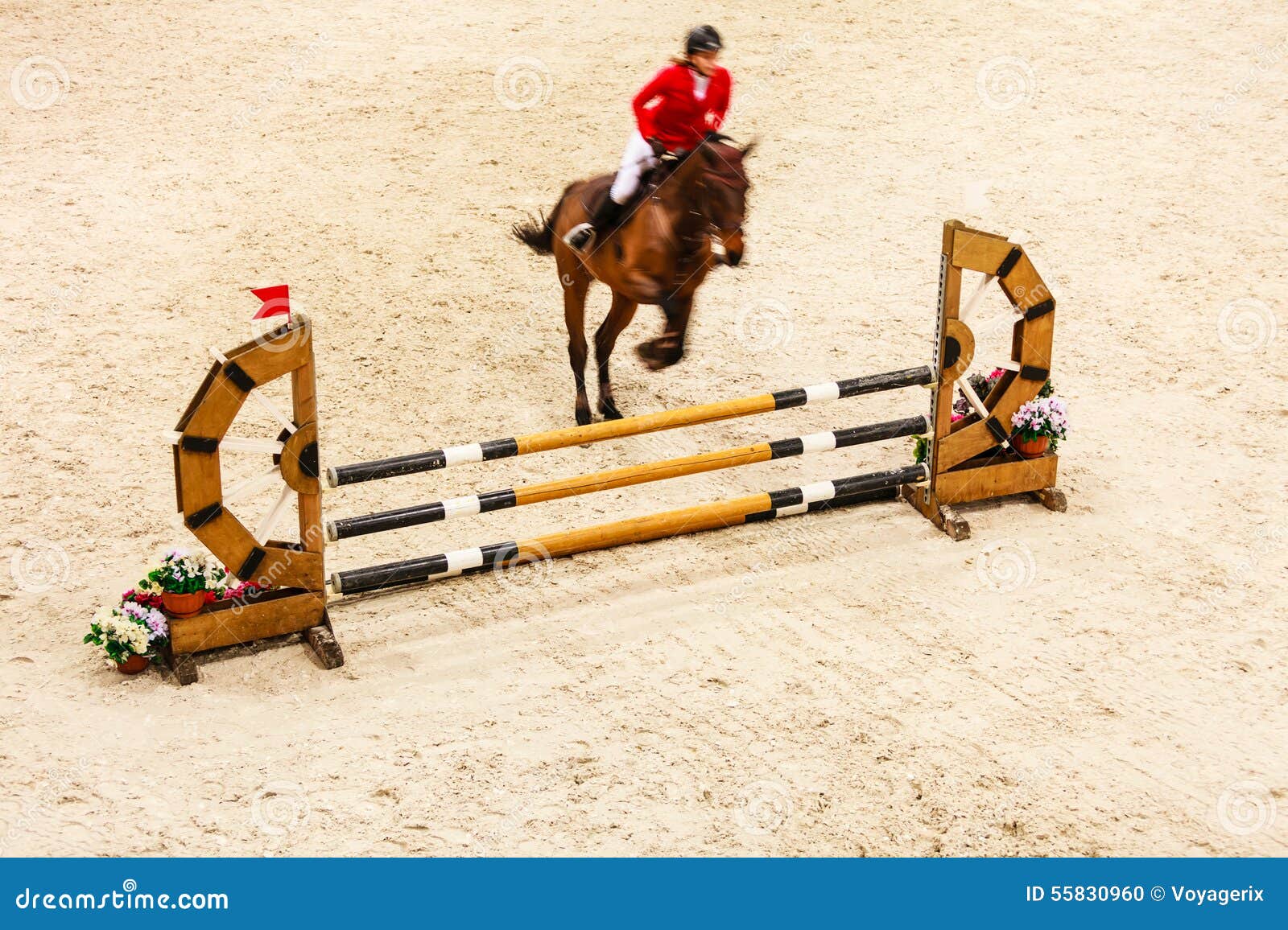 Equitation Toon Het Springen, Paard En Ruiter Over Sprong Stock Foto ...
