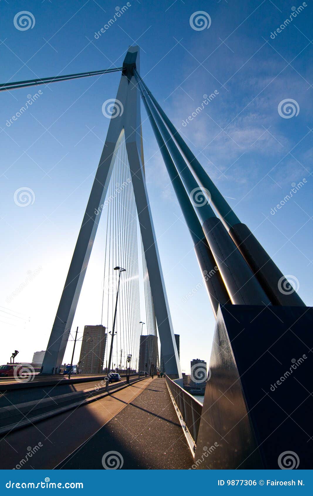 The Erasmus Bridge editorial photo. Image of building - 9877306