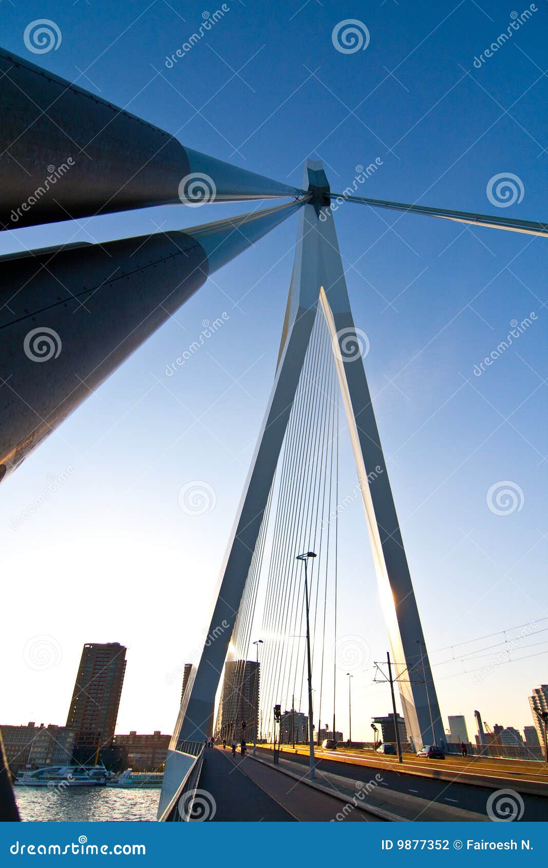 The Erasmus Bridge editorial photography. Image of business - 9877352