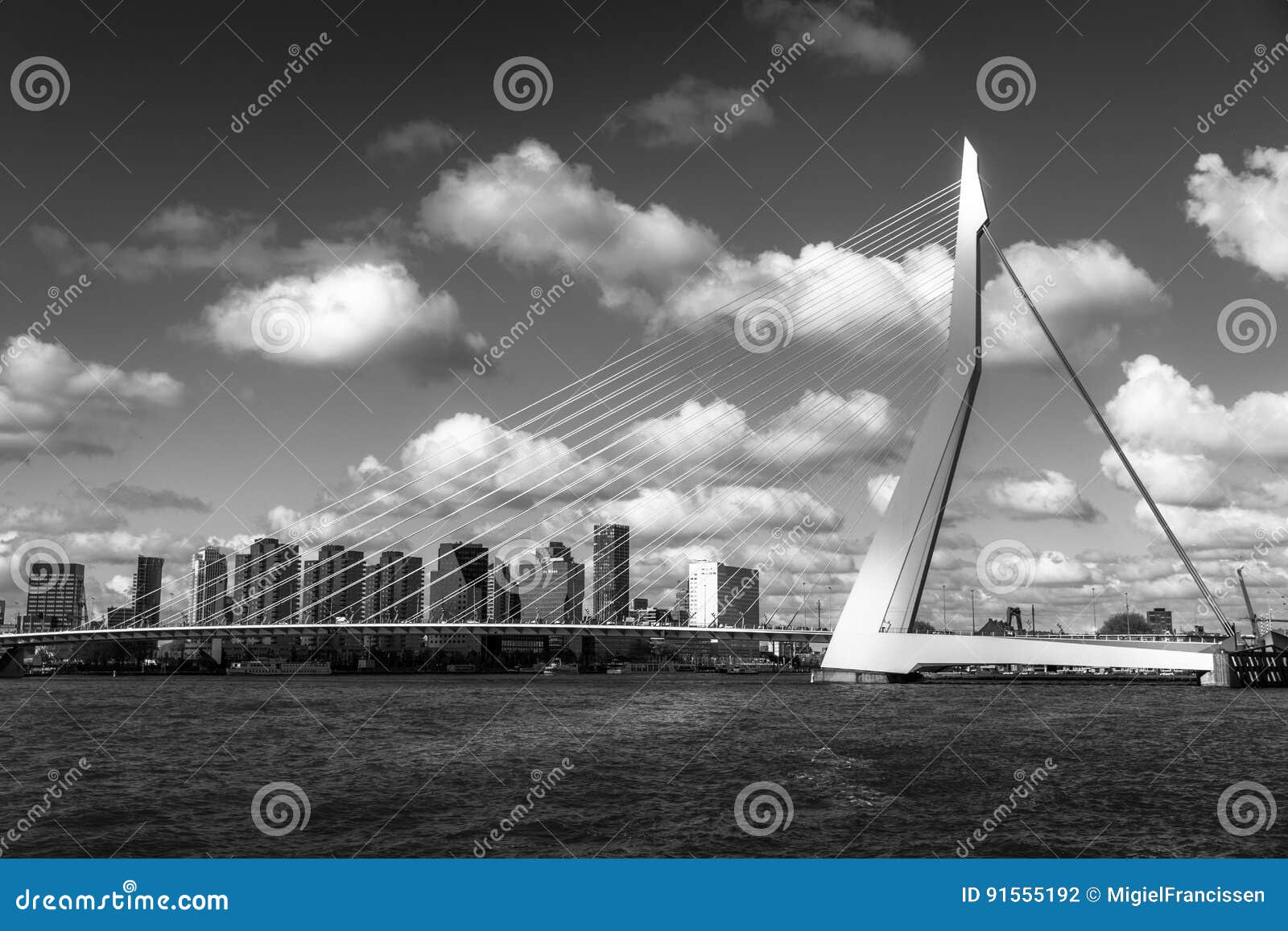 Erasmus Bridge in Black&White Editorial Photography - Image of panorama ...