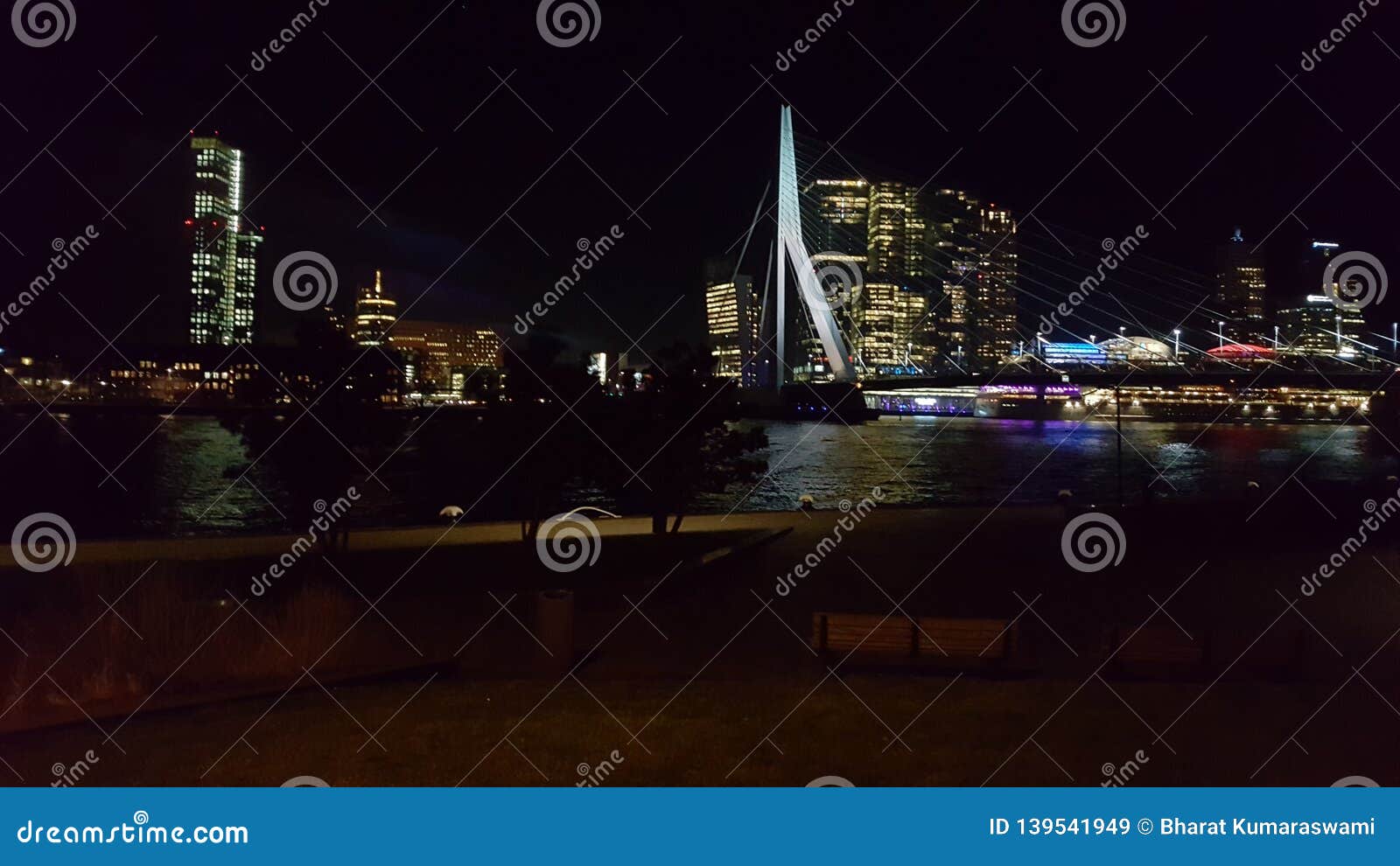Erasmus bridge at night editorial stock image. Image of rotterdam ...