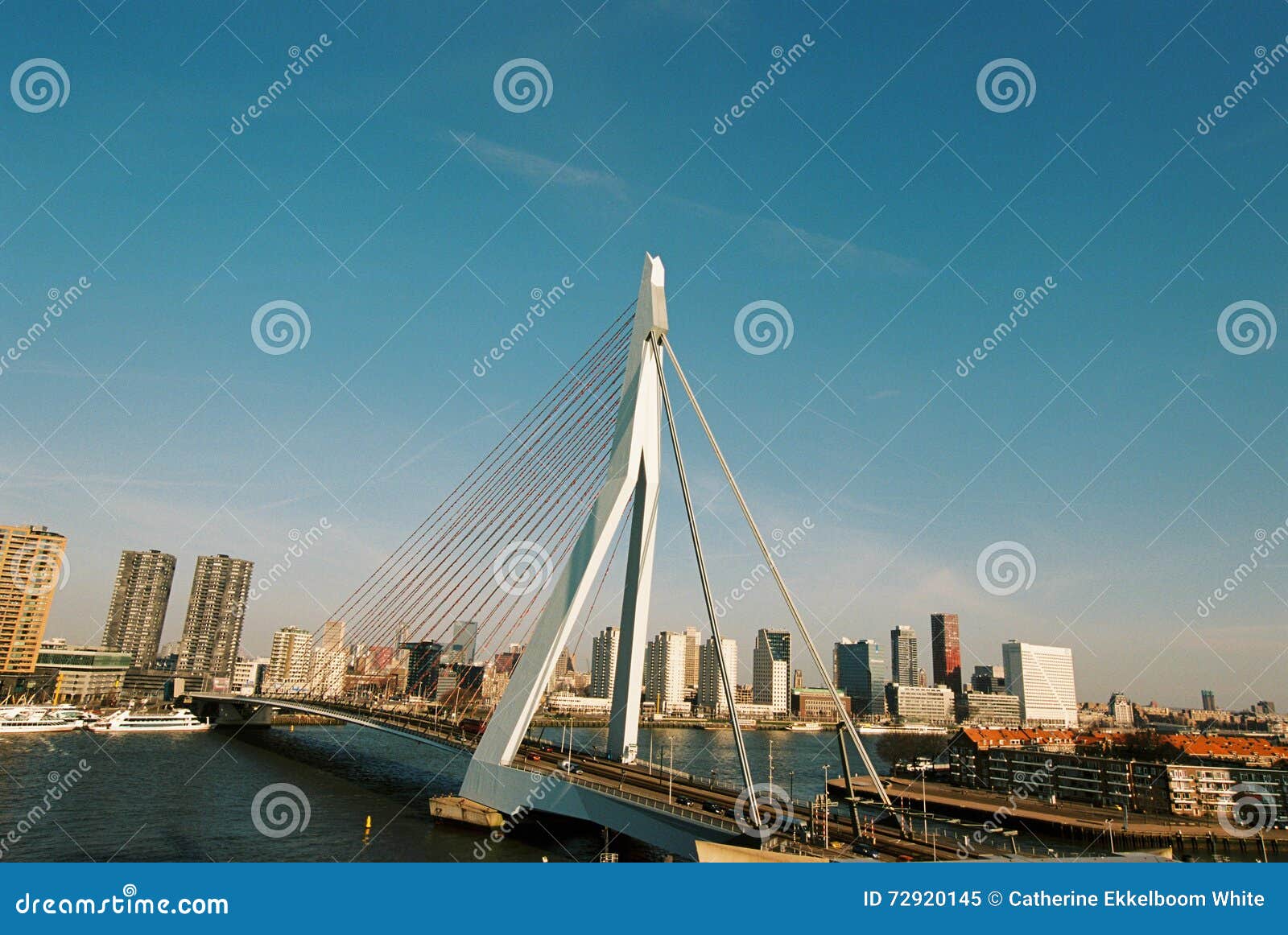 Erasmus Bridge editorial image. Image of architects, highrise - 72920145