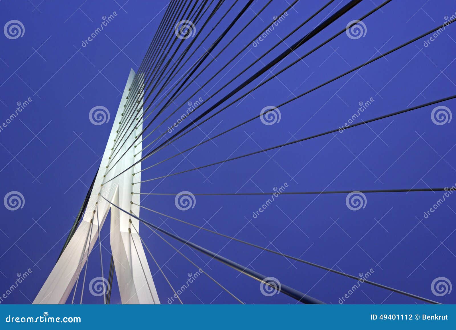 Erasmus Bridge. Rotterdam, South Holland, Netherlands. Editorial ...