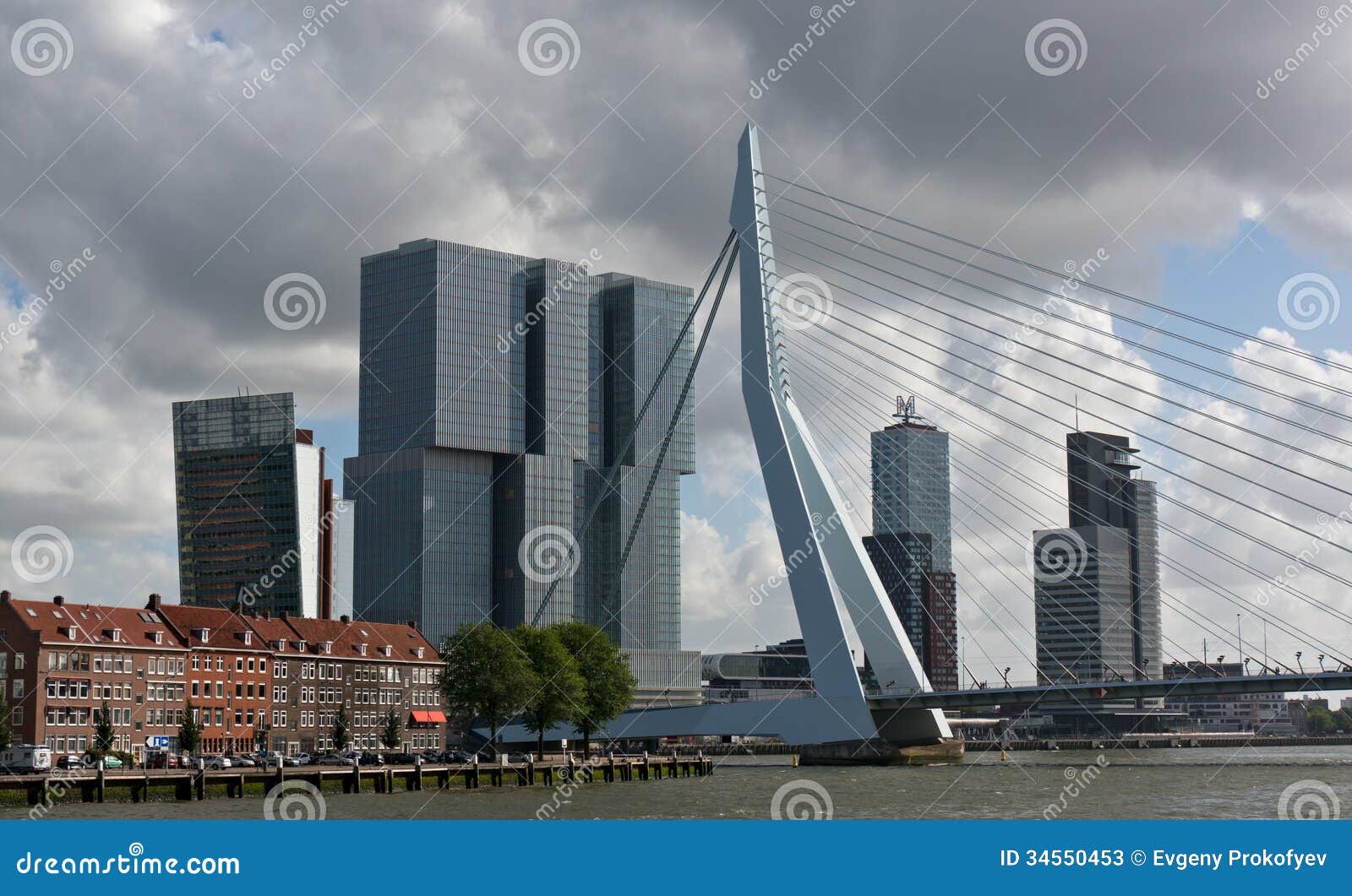 Erasmus Bridge and Skyscrapers of Rotterdam Editorial Stock Photo ...