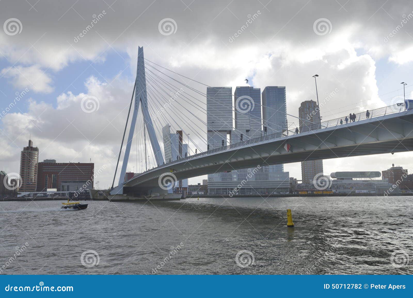 Erasmus brug Rotterdam redactionele fotografie. Image of nieuw - 50712782