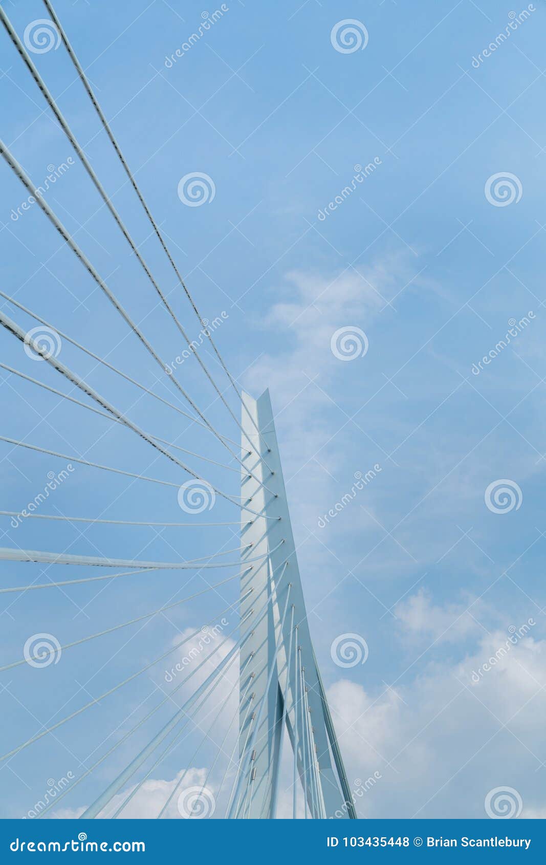 Erasmus Cable Stay Bridge Rotterdam Editorial Stock Photo - Image of ...