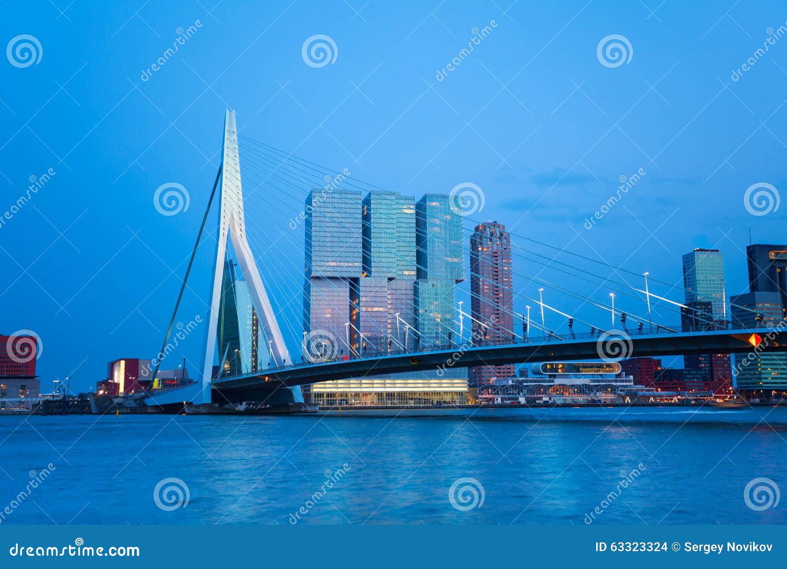 Erasmusbrug Bridge View at Evening in Rotterdam Stock Photo - Image of ...