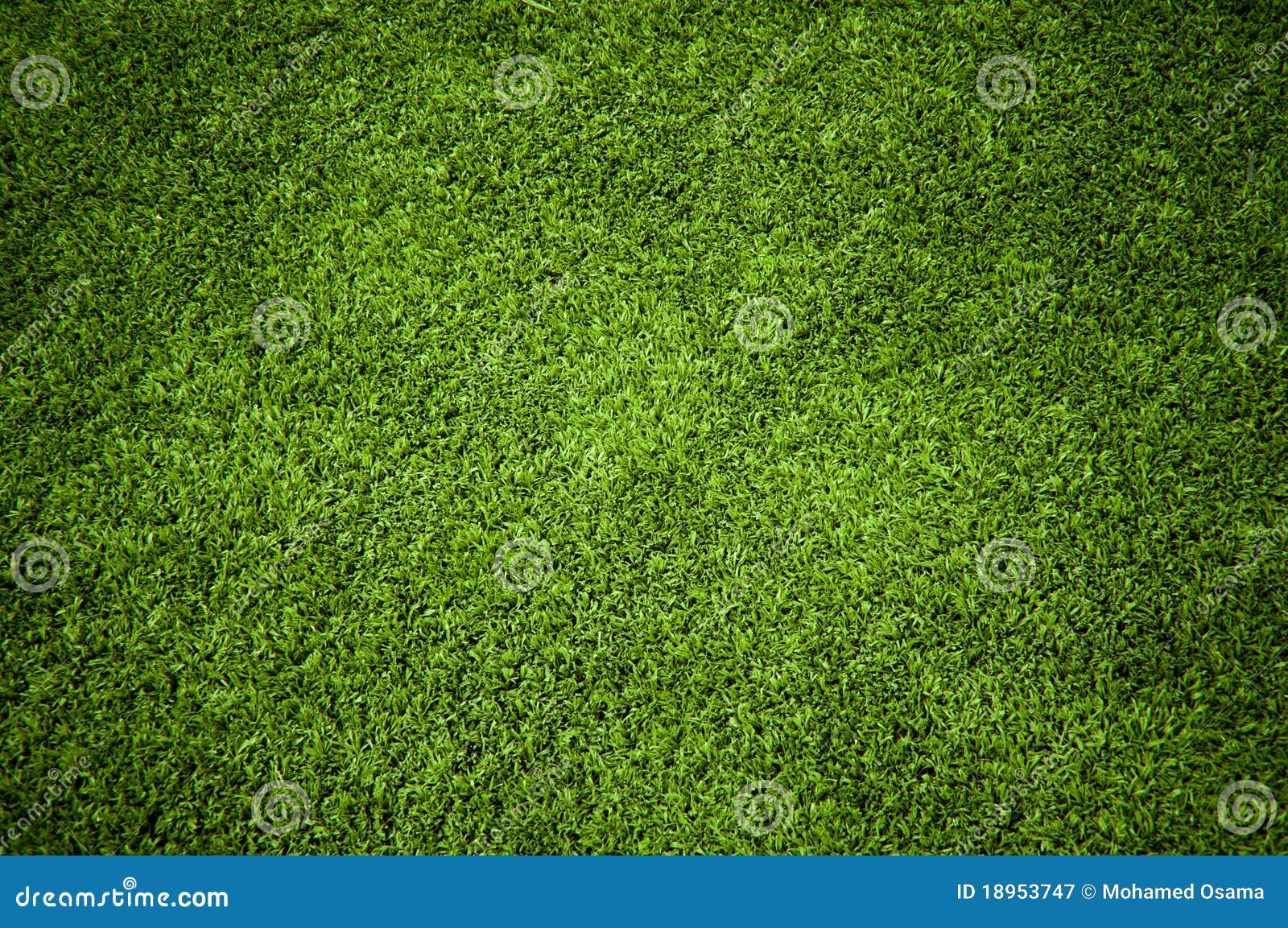 Erba immagine stock. Immagine di fronte, estratto, aprile - 18953747