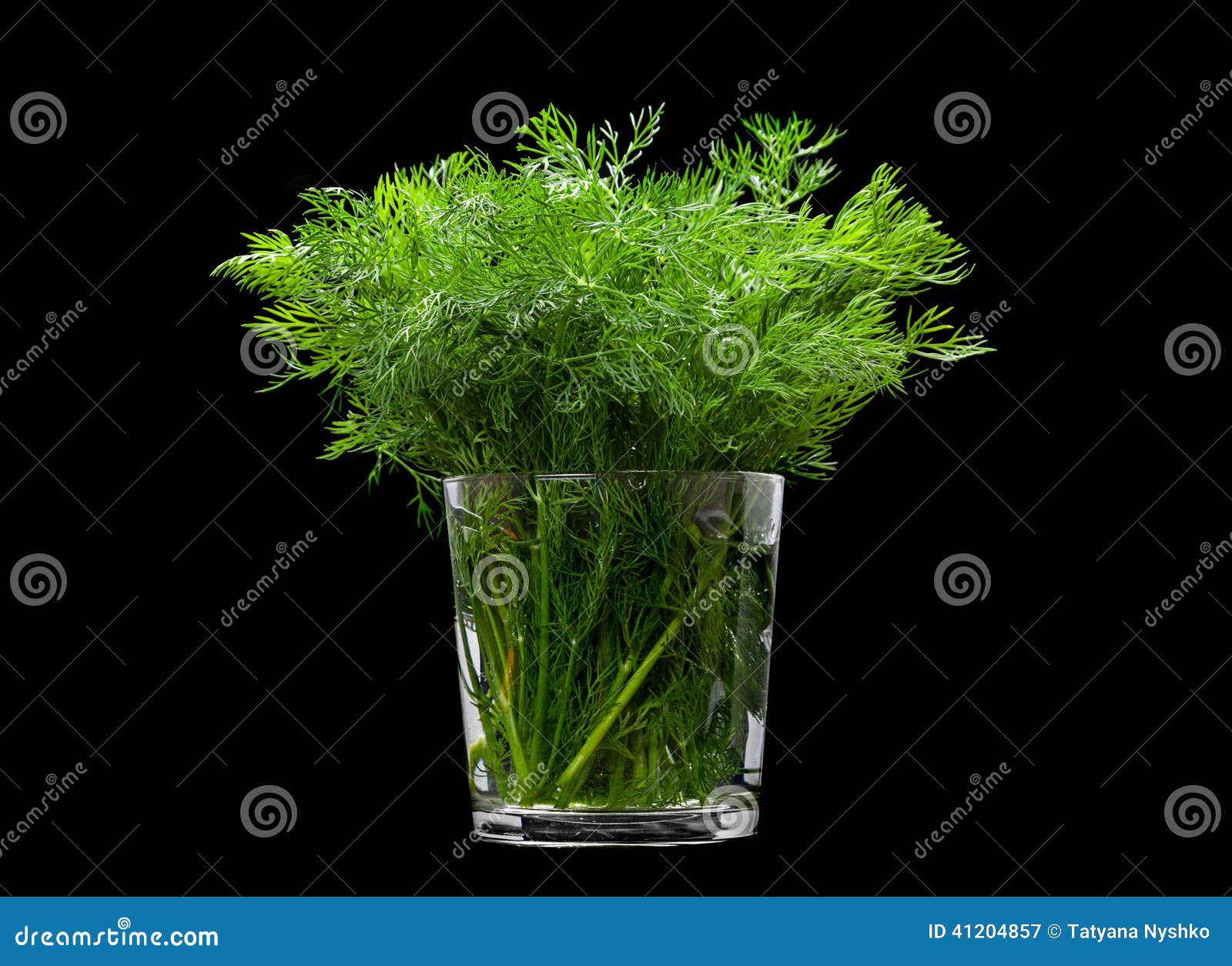 Erba aromatica dell'aneto immagine stock. Immagine di spezia - 41204857