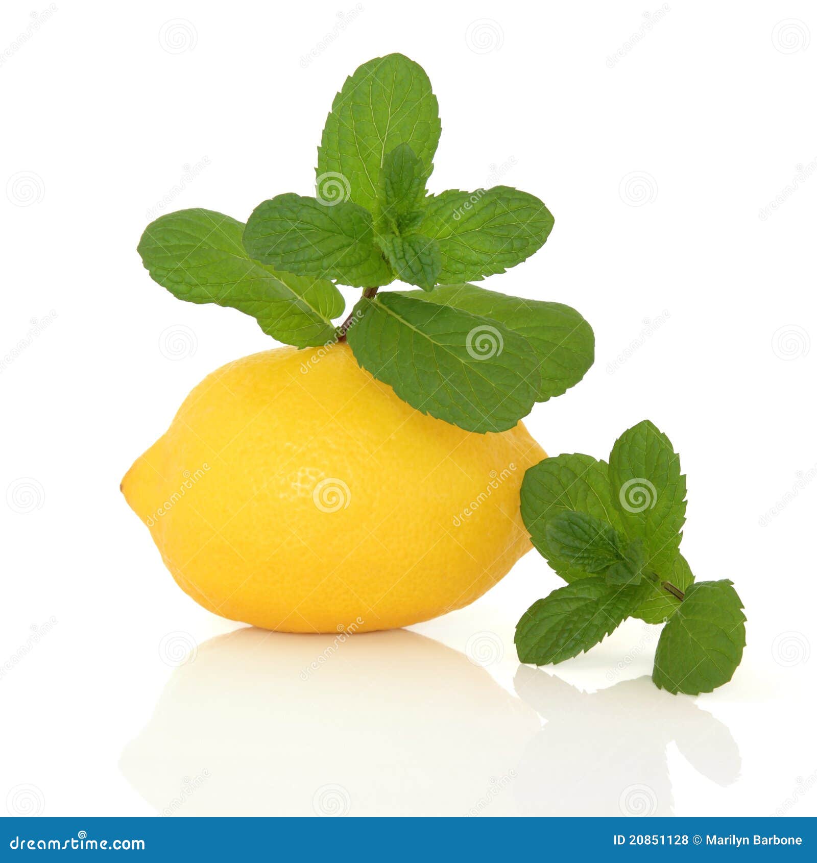 Erba Della Menta E Frutta Del Limone Fotografia Stock - Immagine di ...