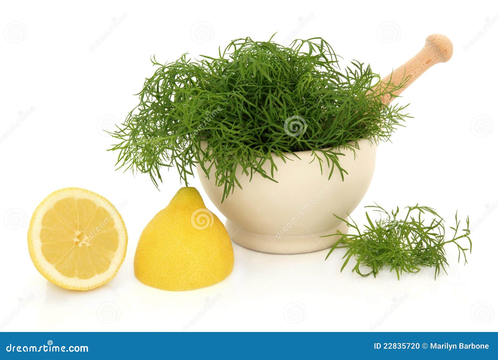 Erba e limone dell'aneto fotografia stock. Immagine di condimento ...