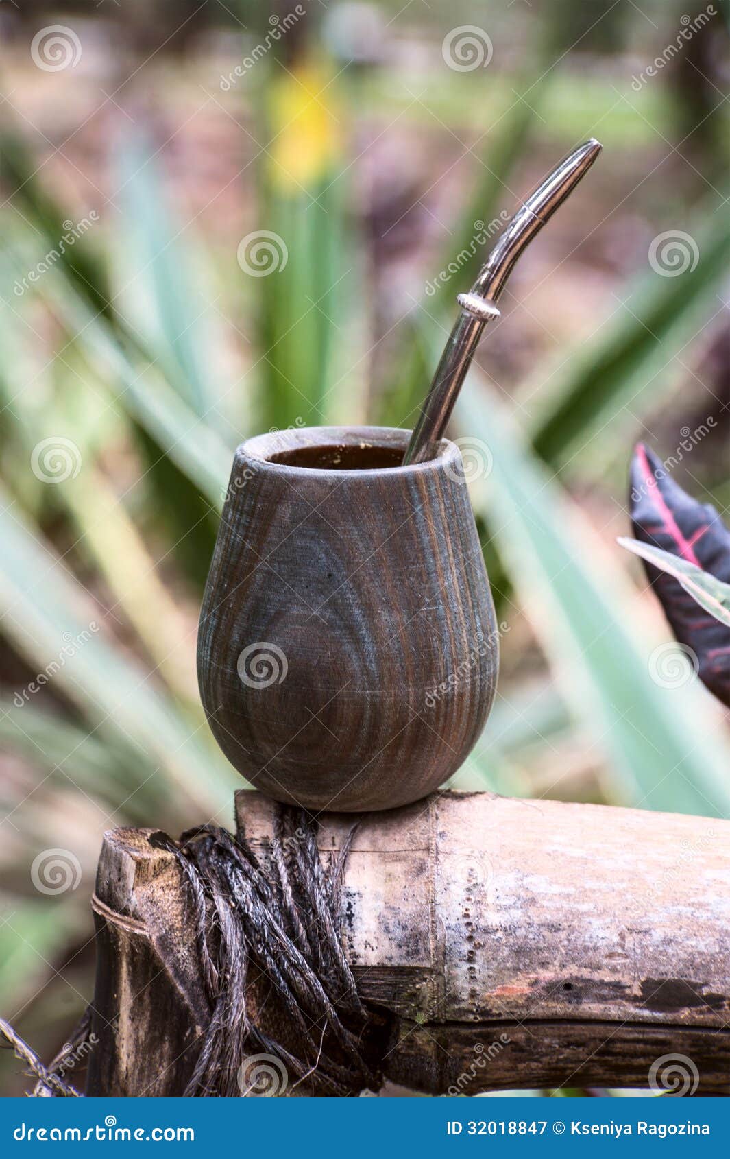 Erba mate del Paraguay immagine stock. Immagine di brasile - 32018847