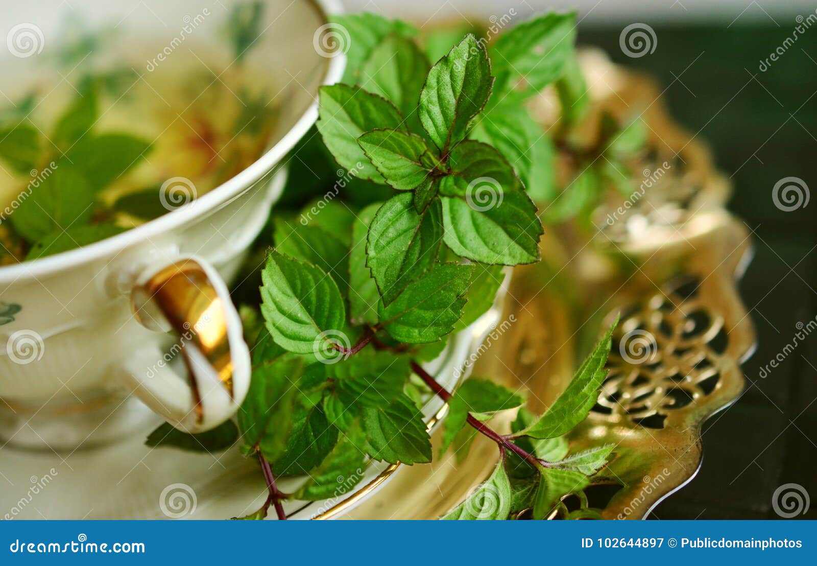 Erba, Pianta Immagine. Immagine: 102644897