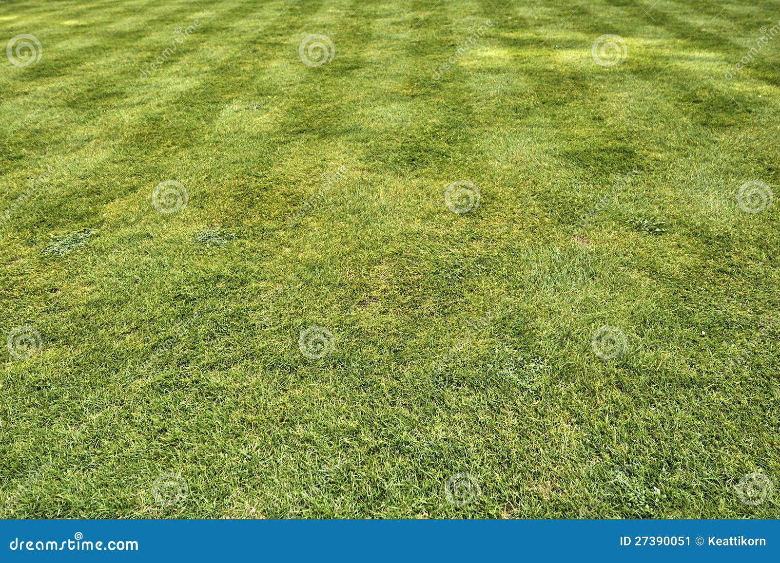 Erba verde immagine stock. Immagine di sfondo, dell, interno - 27390051