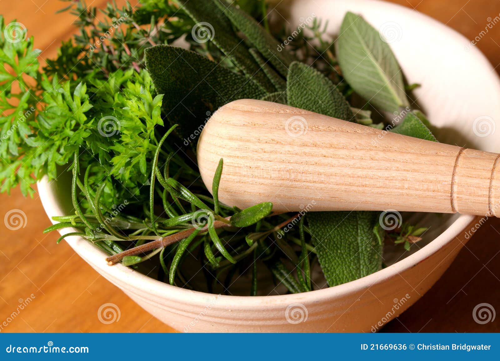 Erbe Con Il Pestello Ed Il Mortaio Fotografia Stock - Immagine di ...