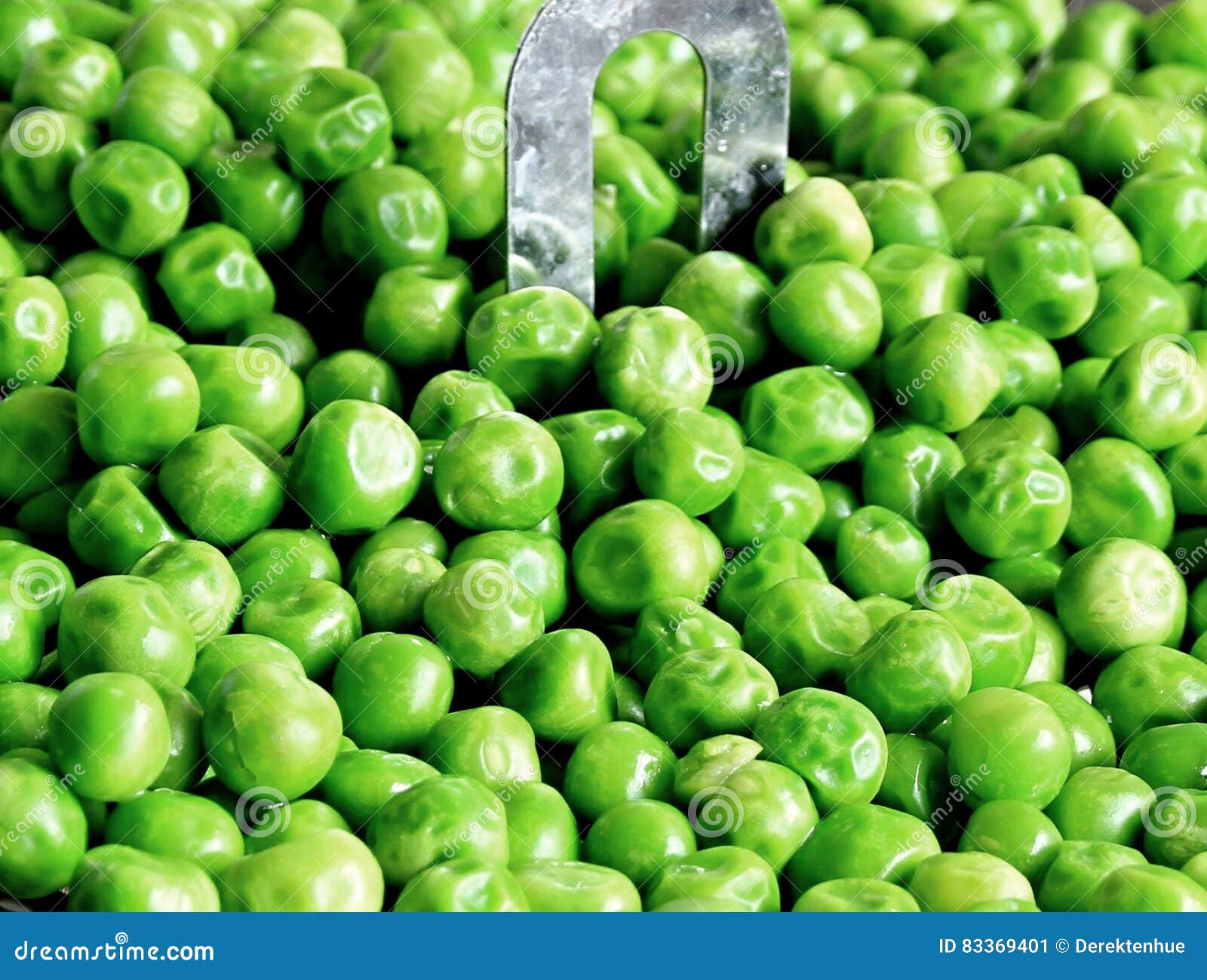 Erbse stockbild. Bild von wachstum, bestandteil, landwirtschaft - 83369401