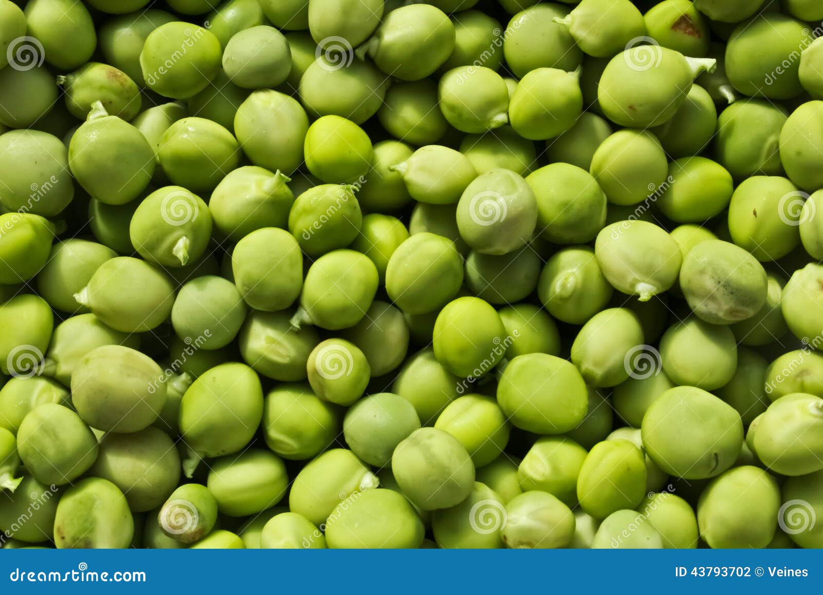 Erbsen stockfoto. Bild von nave, frucht, hintergrund - 43793702