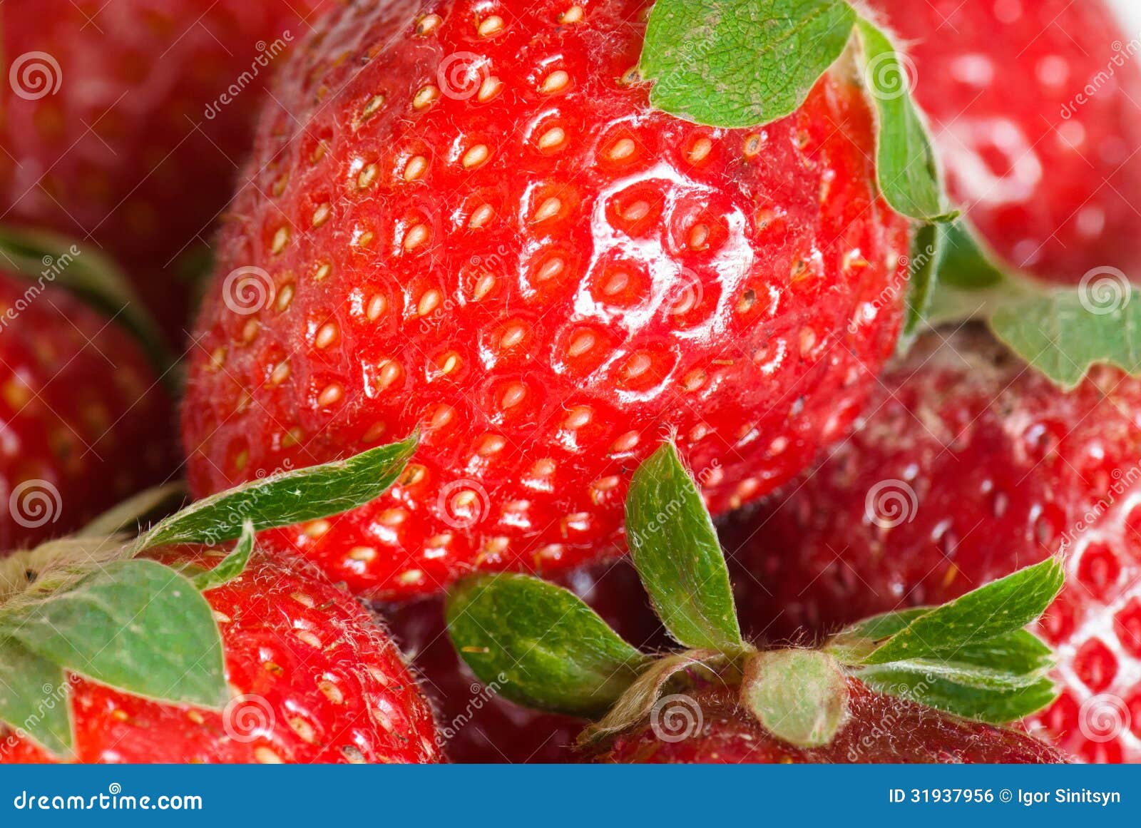 Erdbeere stockfoto. Bild von haufen, saftig, makro, reif - 31937956