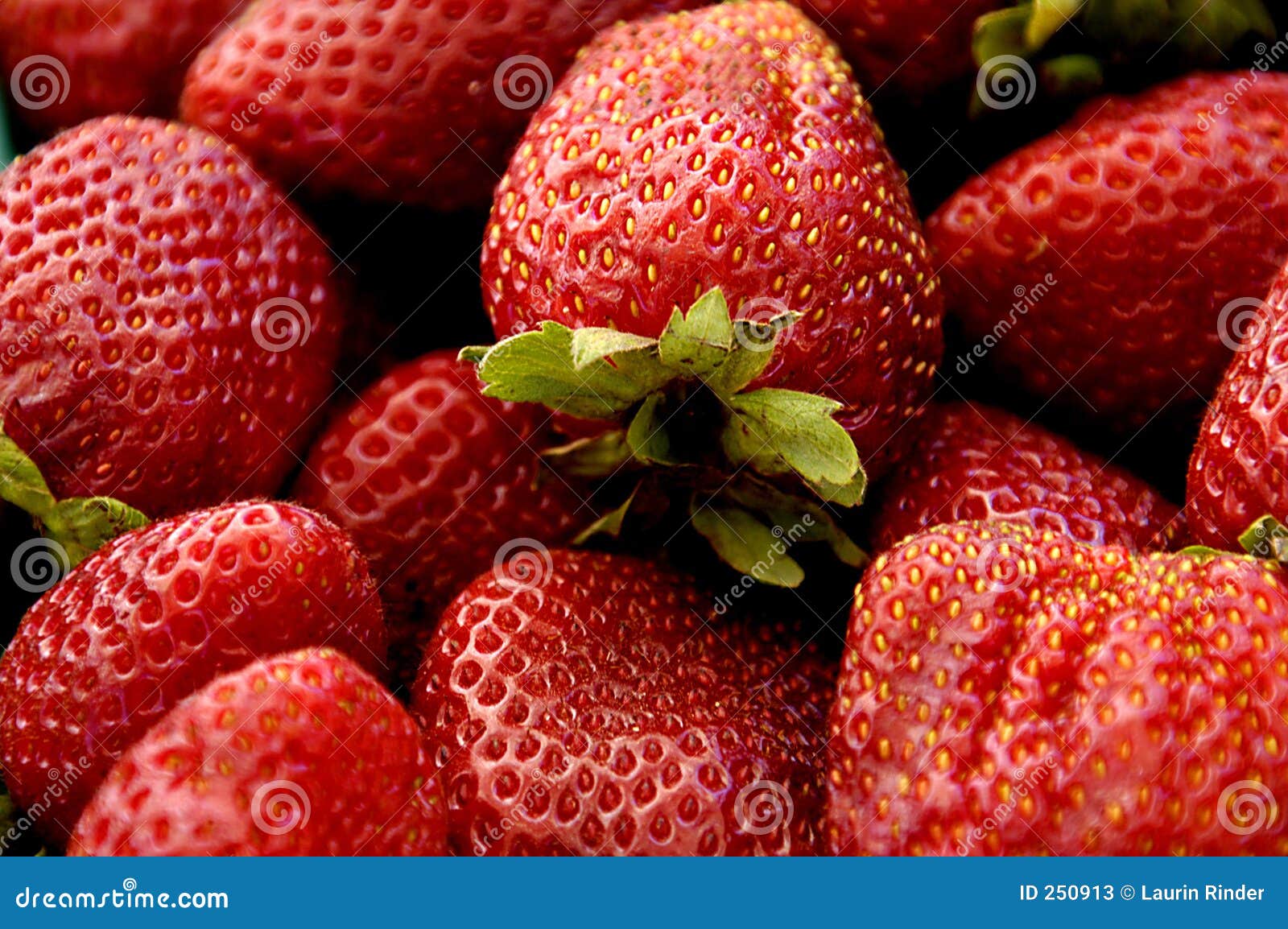 Erdbeeren Bild. Bild: 250913