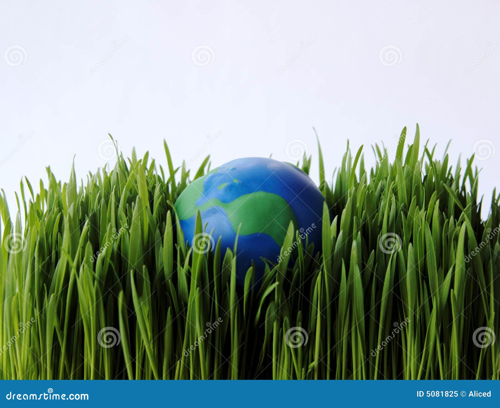 Erde im Gras stockbild. Bild von gras, kugel, masse, erhaltung - 5081825