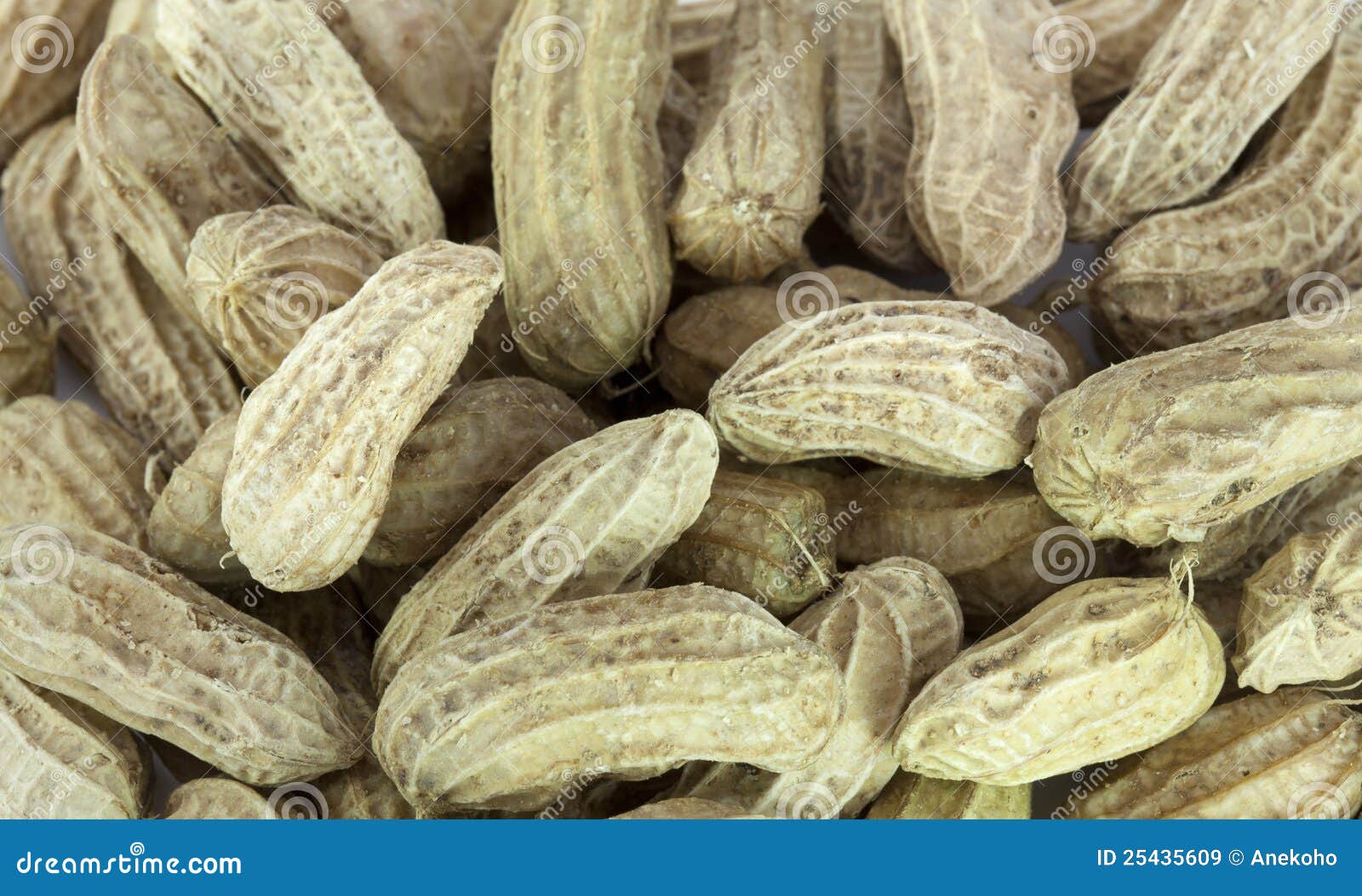 Erdnuss stockbild. Bild von getrennt, schale, nachricht - 25435609