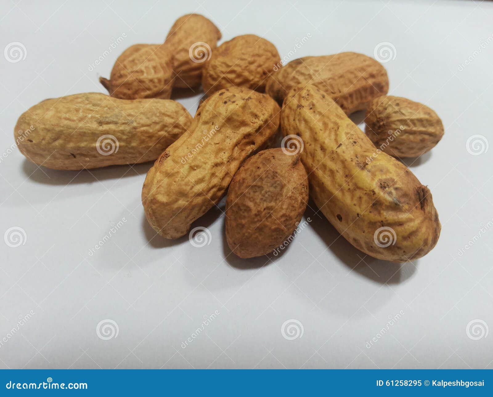 Erdnuss oder Erdnuss stockbild. Bild von diät, faser - 61258295