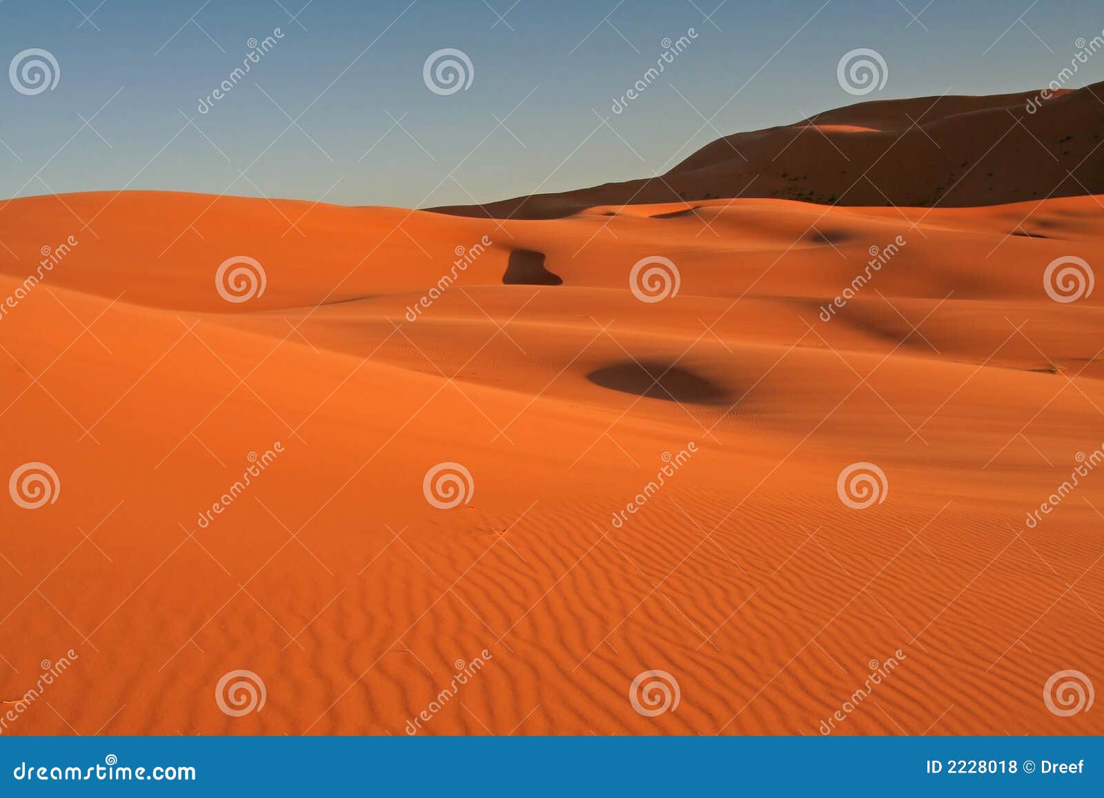 Erg Chebbi sand dunes stock photo. Image of landscape - 2228018