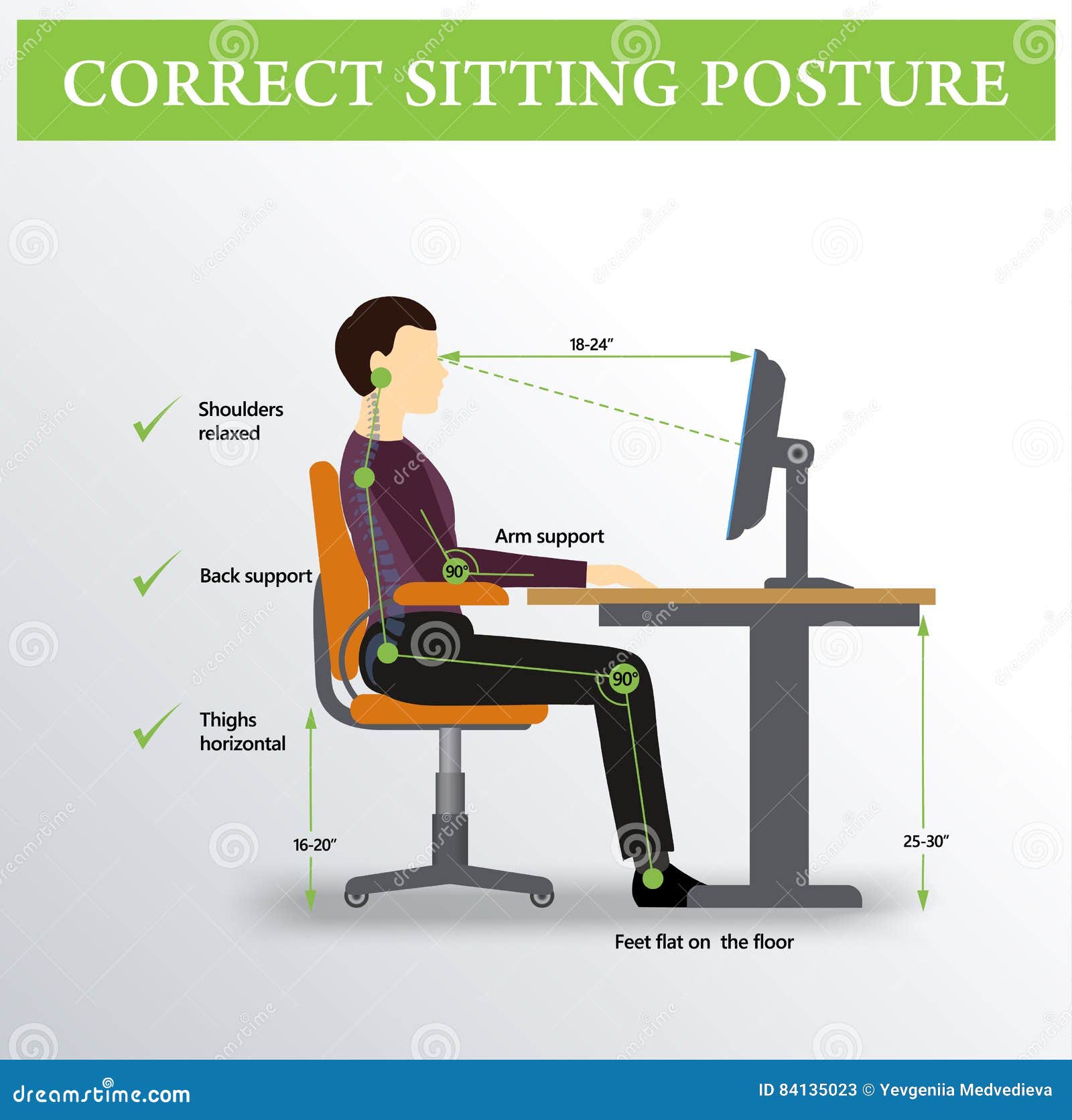 Ergonómica Posición Sentada Correcta Ilustración del Vector ...