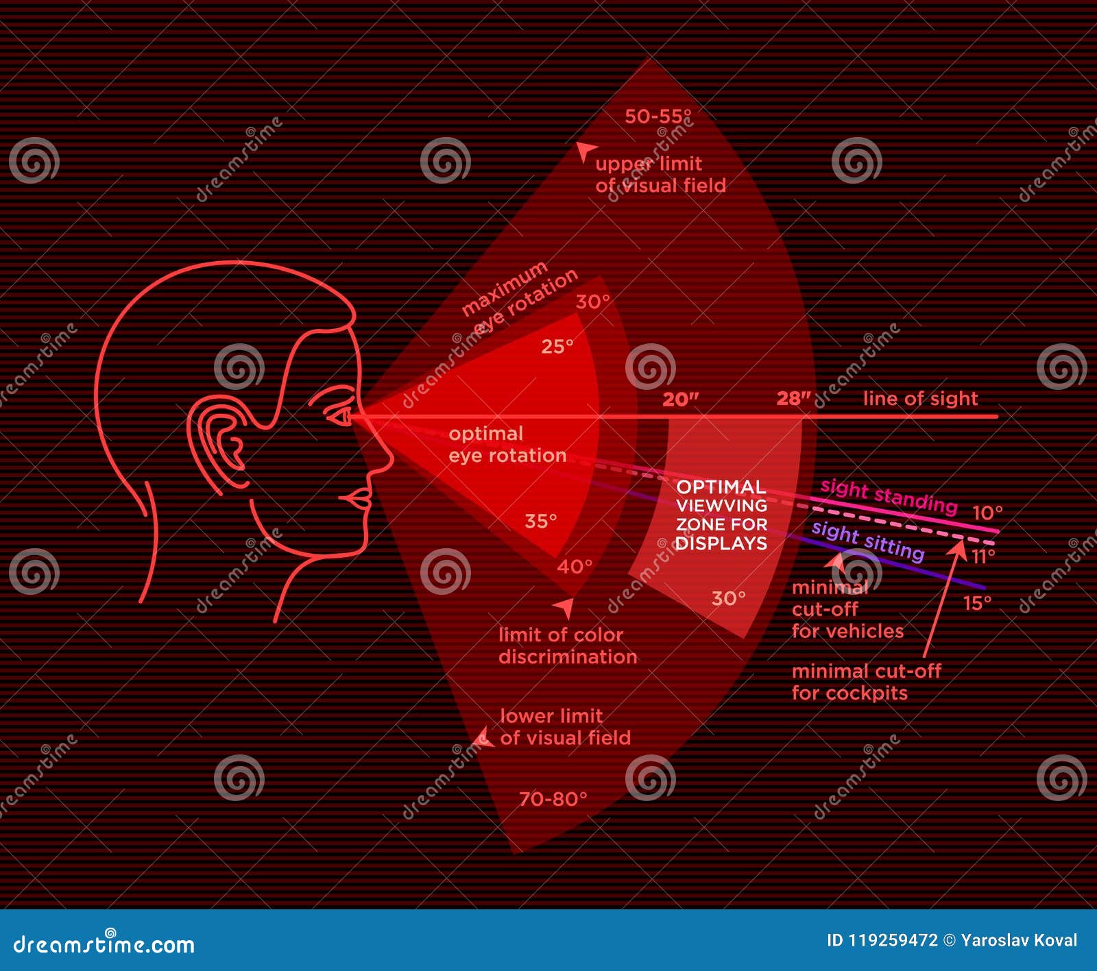 Ergonomics Angle View. Human Sight Range Stock Illustration ...