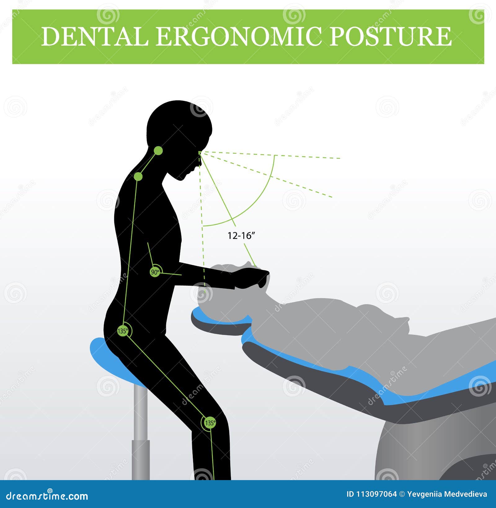 Ergonomie in Tandheelkunde Correcte Houding Vector Illustratie ...