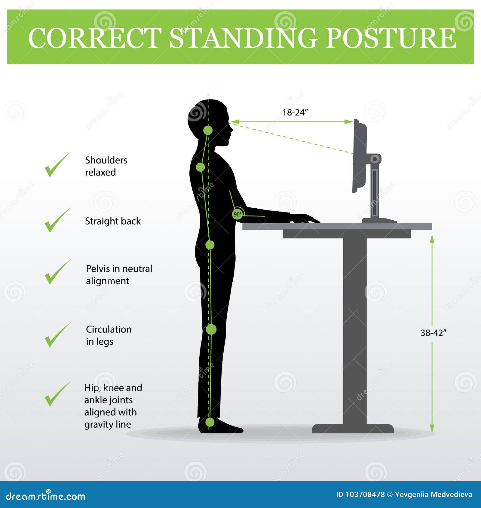 Ergonomisch Correcte Bevindende Houding En Hoogte Regelbare Lijst ...