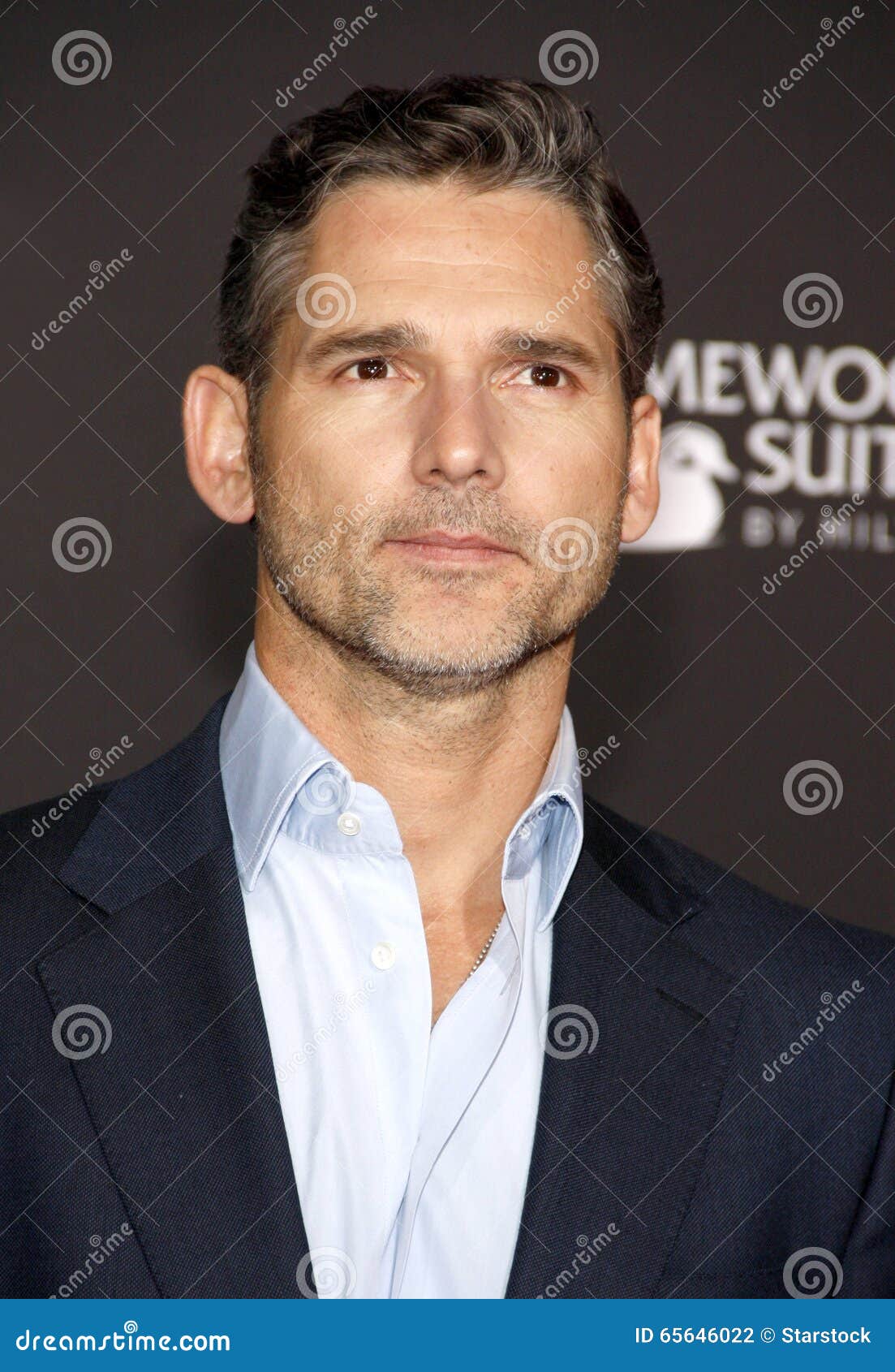 Eric Bana fotografía editorial. Imagen de estrella, artista - 65646022